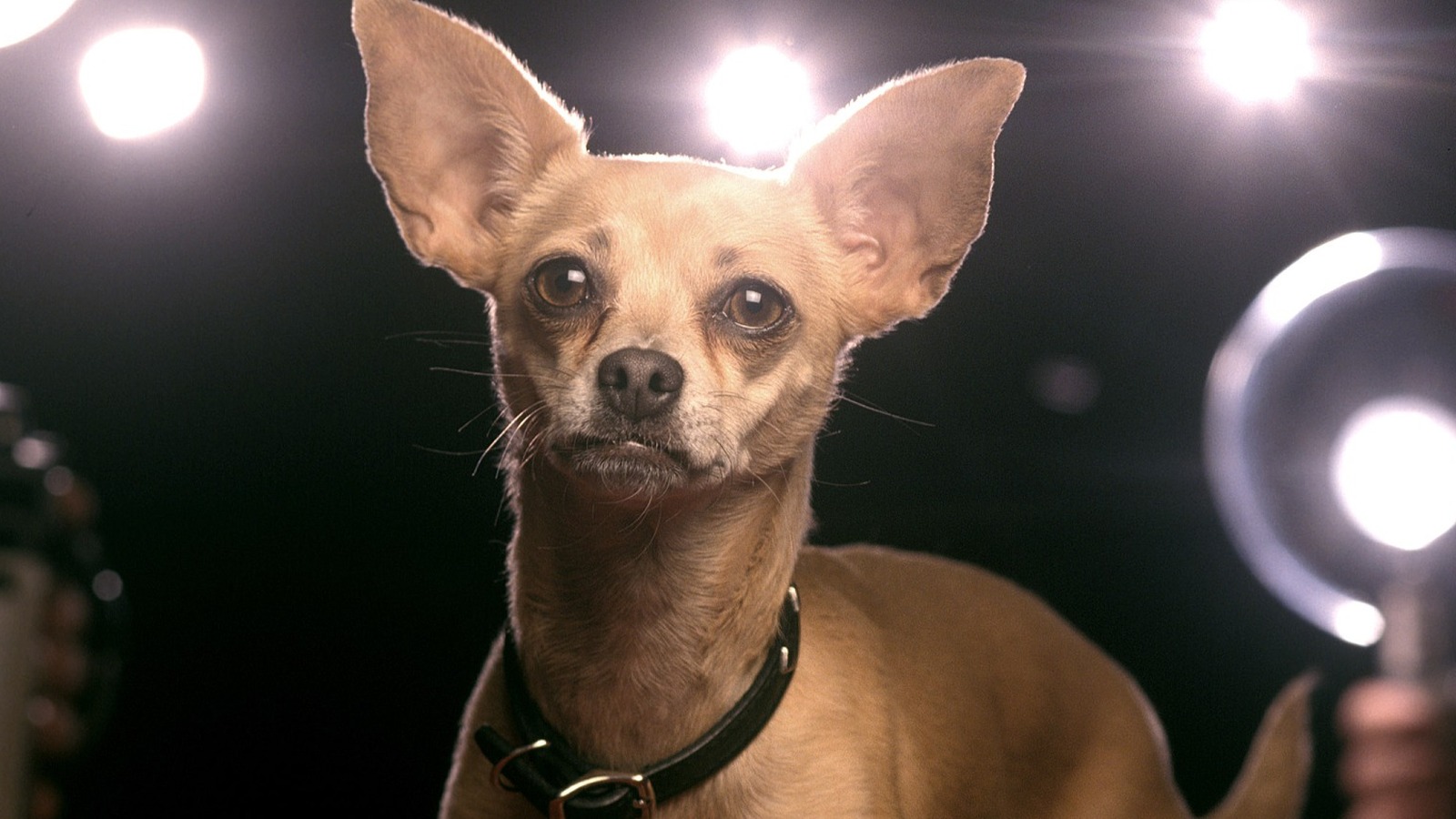 11 Fast Food Mascots Who Completely Disappeared