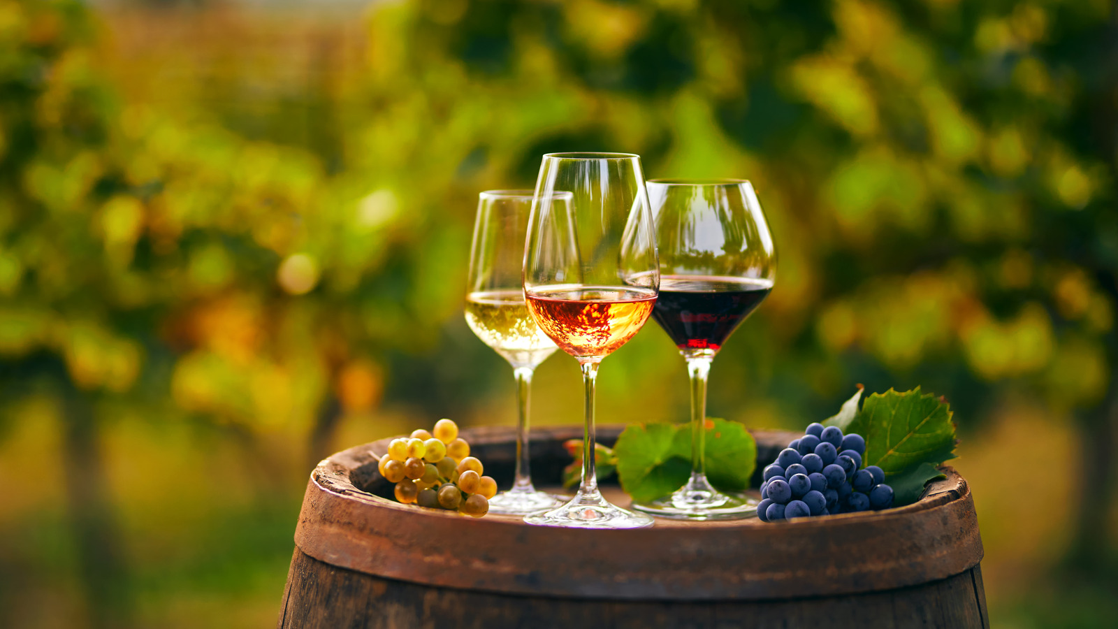 13 Best Non Alcoholic Wine Brands You Can Buy 13 Best Non Alcoholic Wine Brands You Can Buy