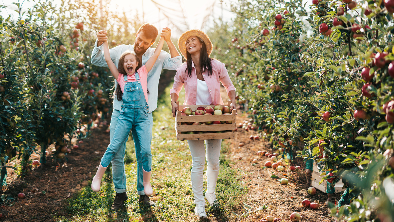 13 Mistakes To Avoid When Picking Your Own Fruit