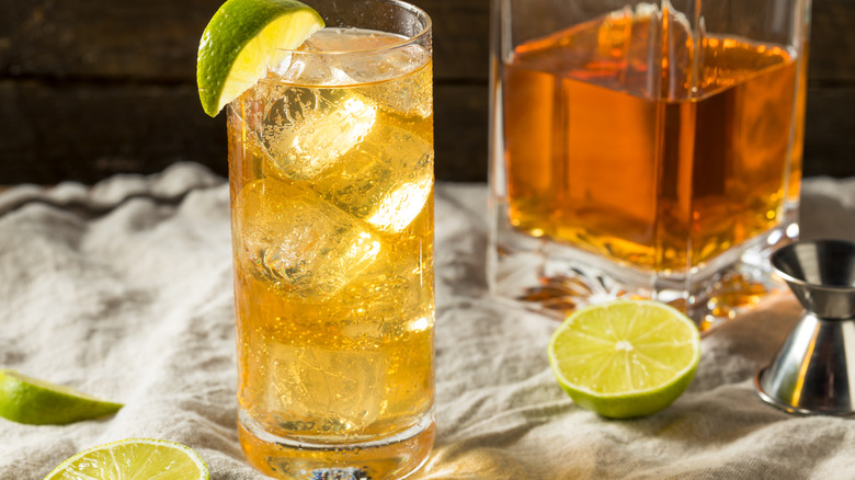14 Ultimate Soda-Alcohol Combinations, Ranked