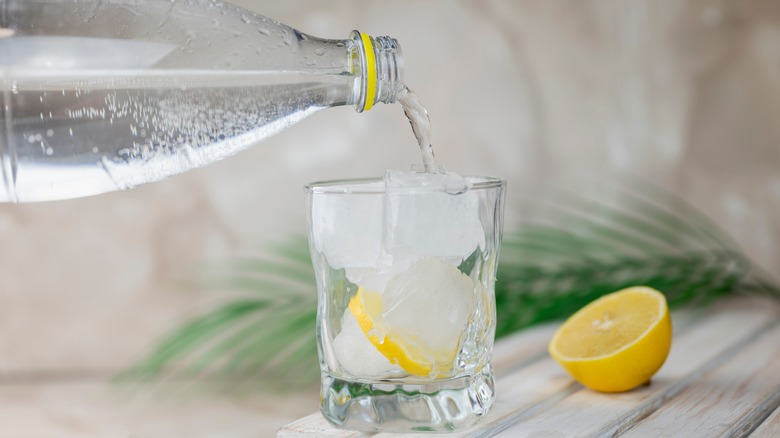 14 Ultimate Soda-Alcohol Combinations, Ranked