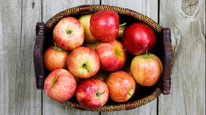 25 Types Of Apples And How To Use Them