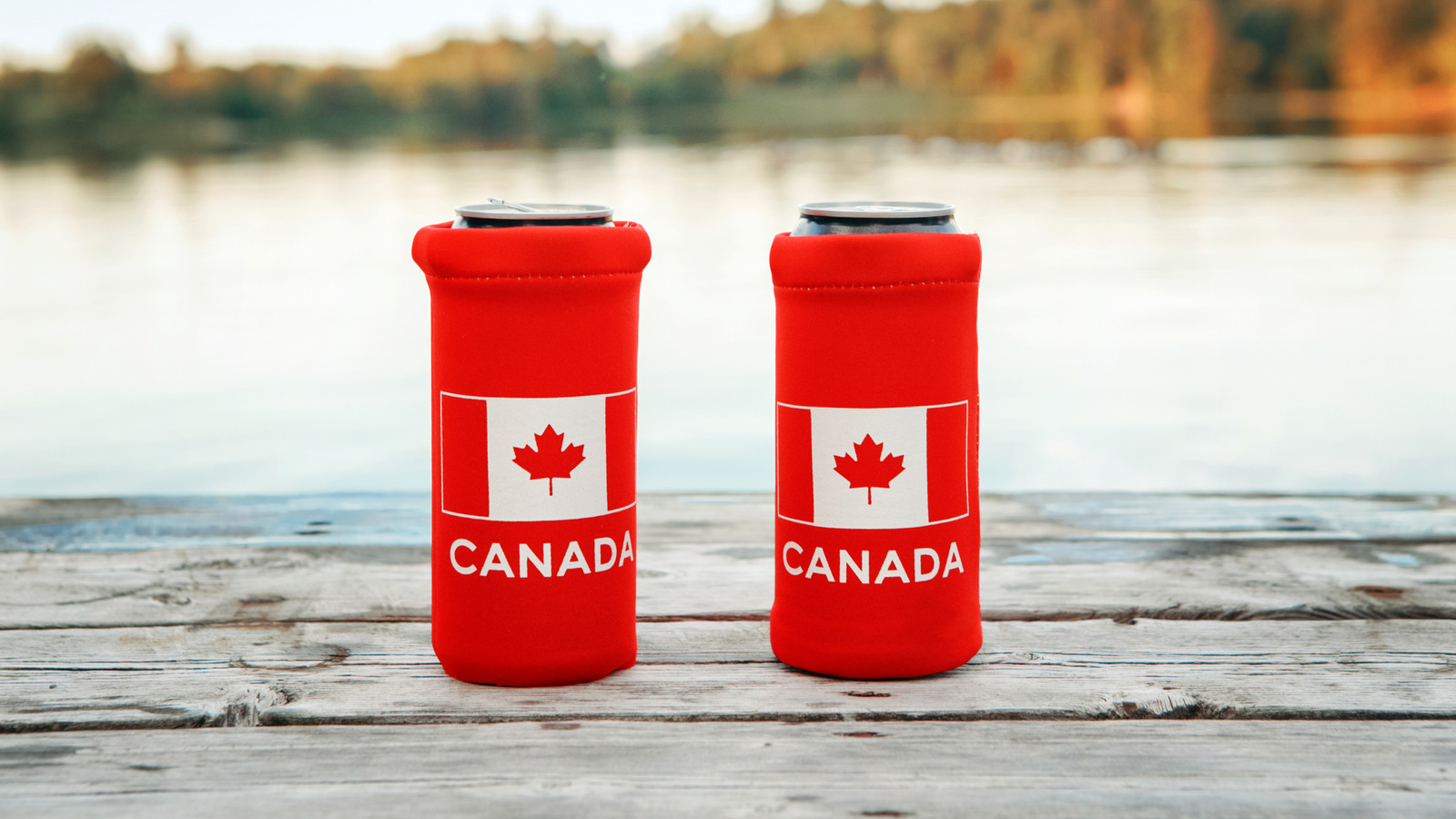 4 Canadian Beer Brands Worth Trying (While You Still Can)