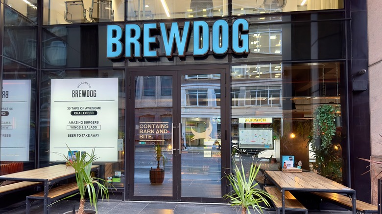 7 Craft Beer Brands That Aren't Worth The Price, According To Experts