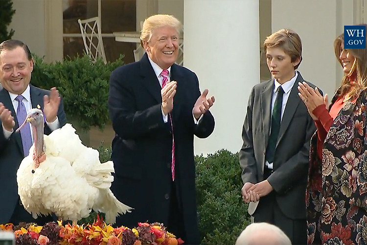 All Eyes Are On President Trump's First Turkey Pardon