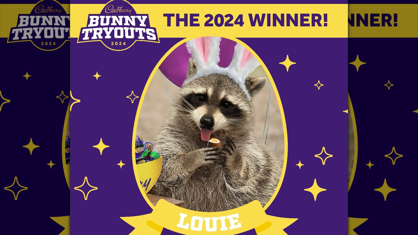 Cadbury's New Bunny Of The Year Is ... A Raccoon?