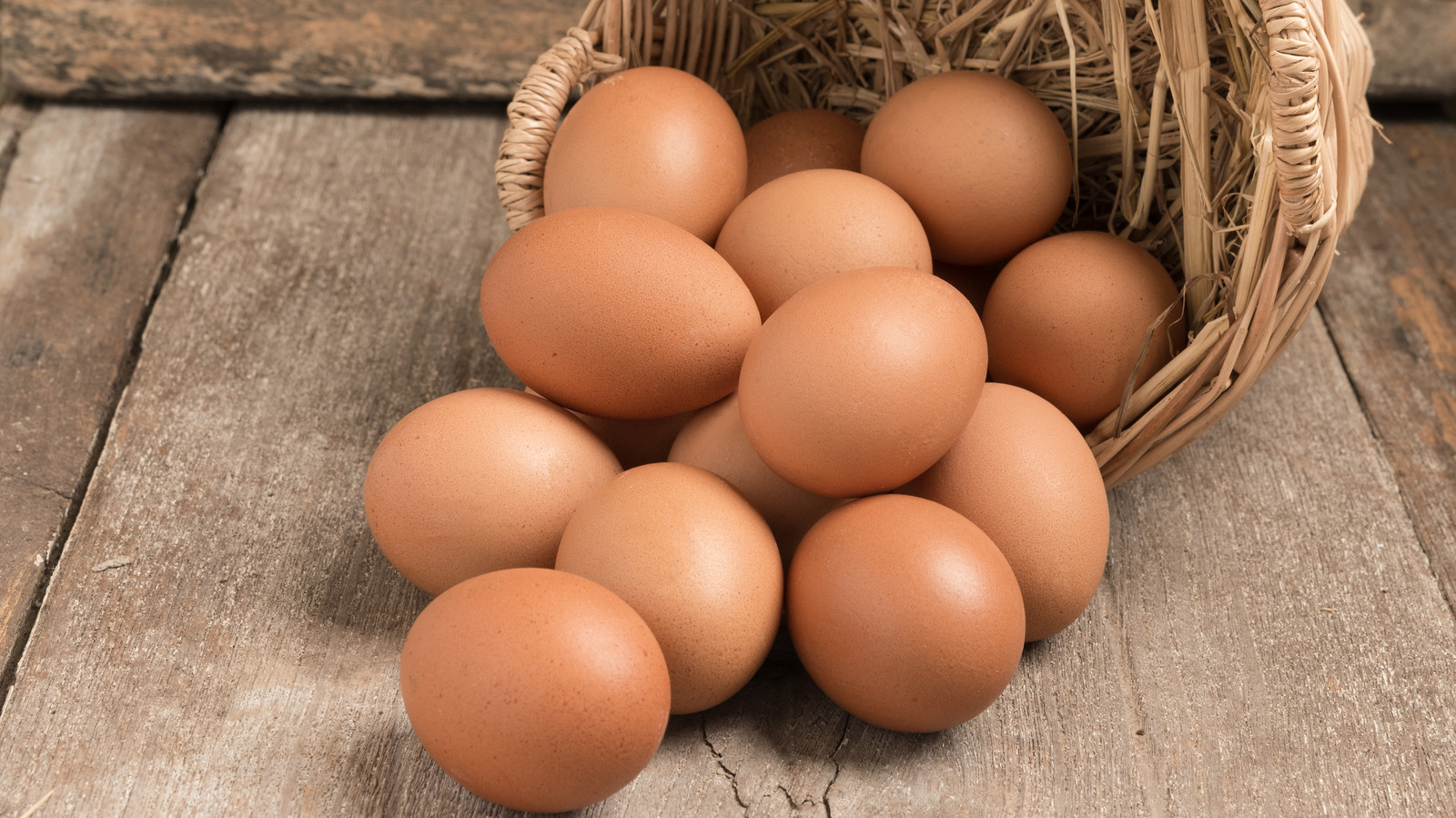 Egg Prices Are Getting So Bad People Are Buying Their Own Chickens
