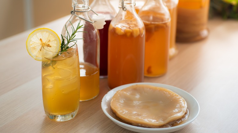 Everything You Need To Know About Kombucha