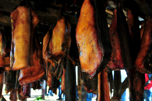 Exotic Seafood You Have to Travel for (Slideshow)