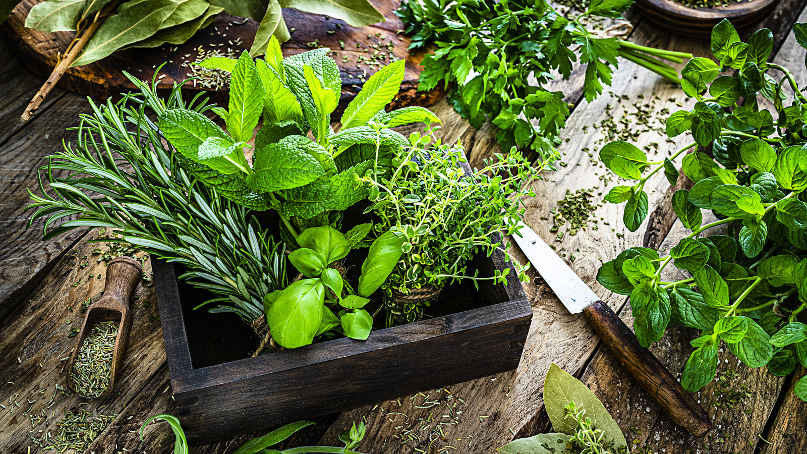 Fresh Herbs Are The Slept-On Addition Your Sandwich Needs