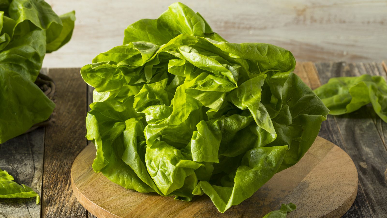 Here's How To Make Sure Your Butter Lettuce Stays Fresh For Longer