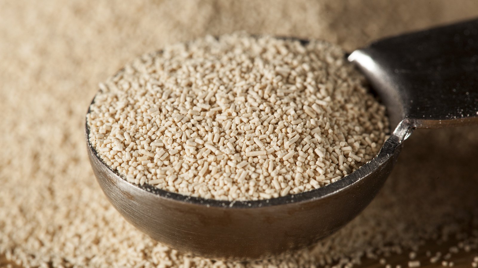 Here's What It Means To 'Activate Yeast' In Baking