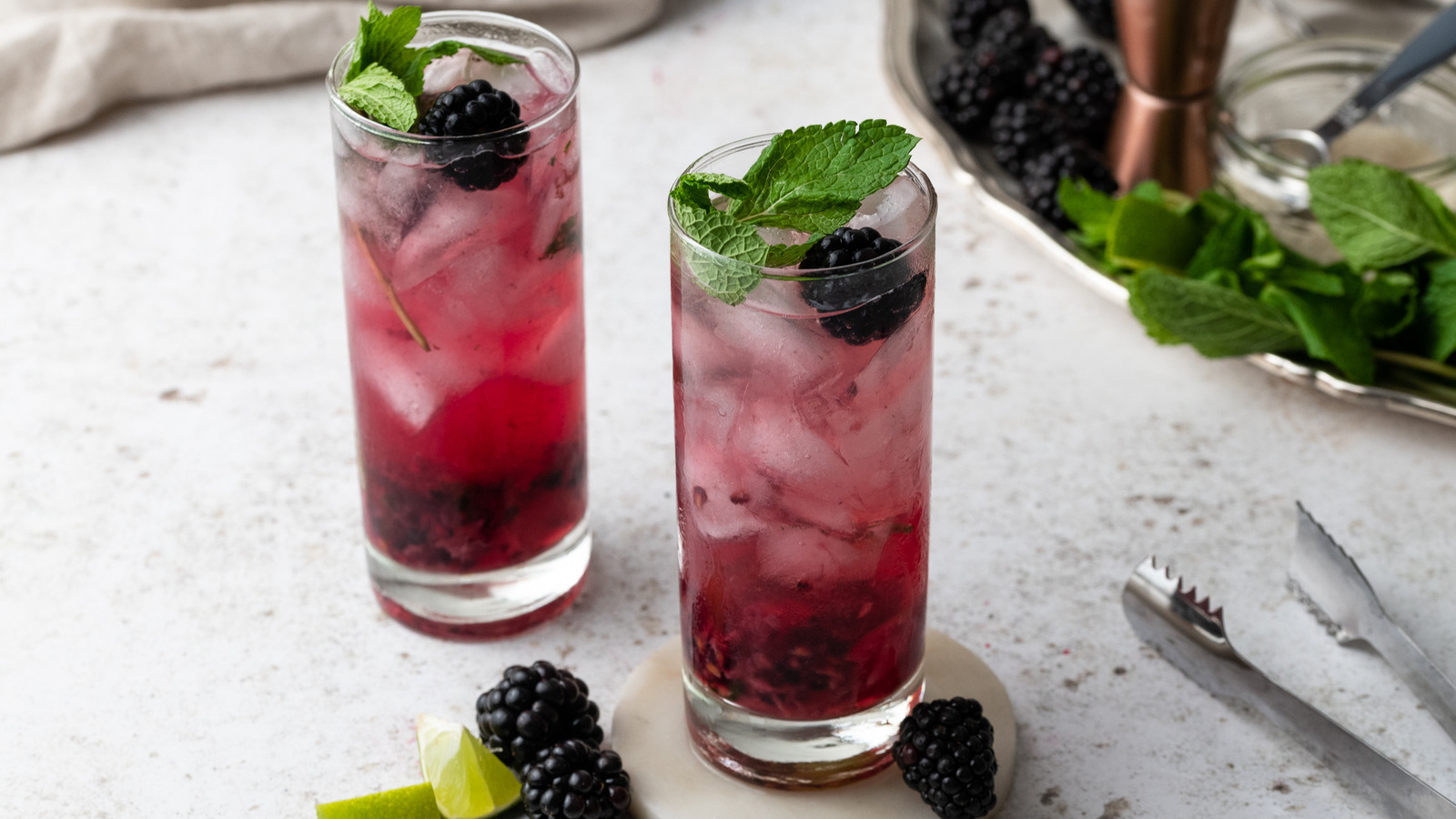 Hibiscus And Blackberry Mojito Cocktail Recipe
