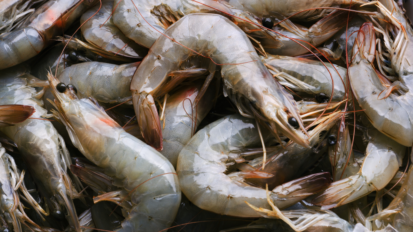 If You're Throwing Shrimp Shells Away, You're Making A Big Mistake