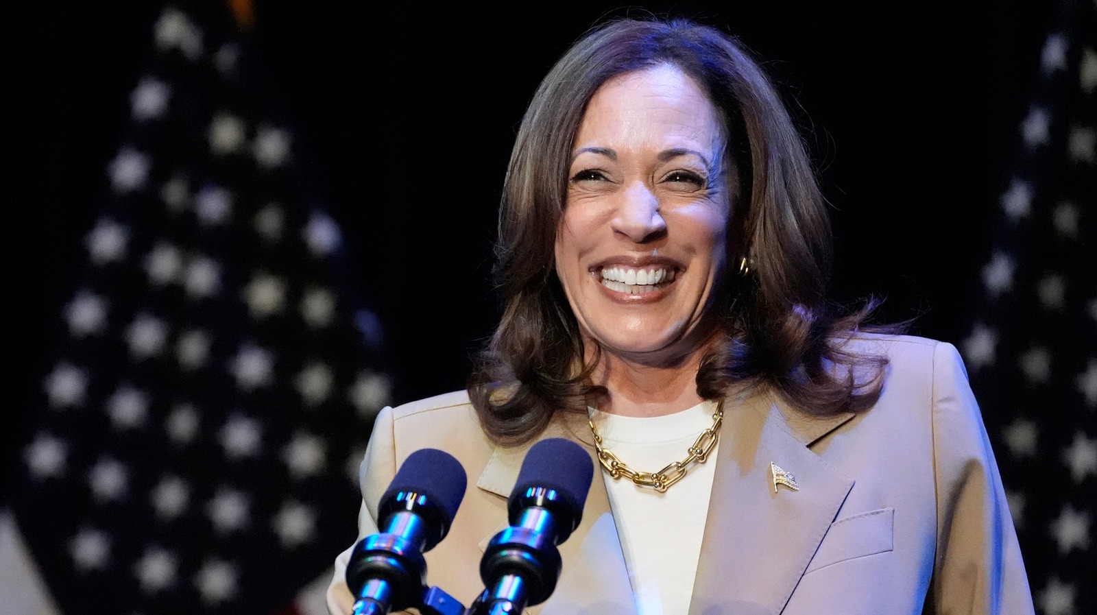 Kamala Harris Has A Genius Hack For Eating McDonald's In The Car, Mess-Free