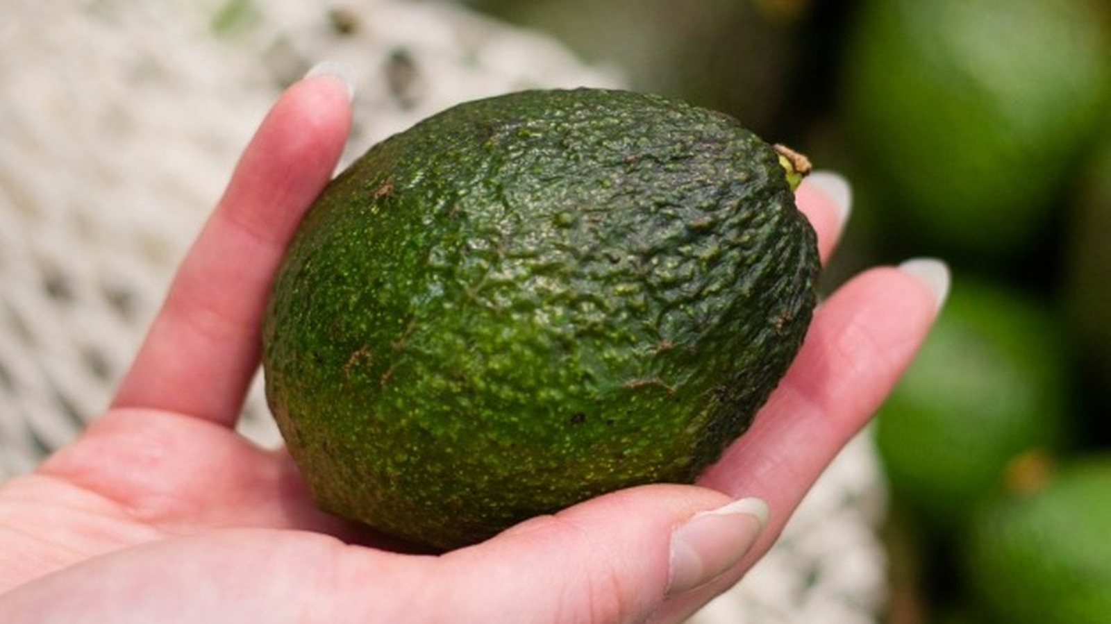 Keeping Avocados Fresh Is Easier Than You Think