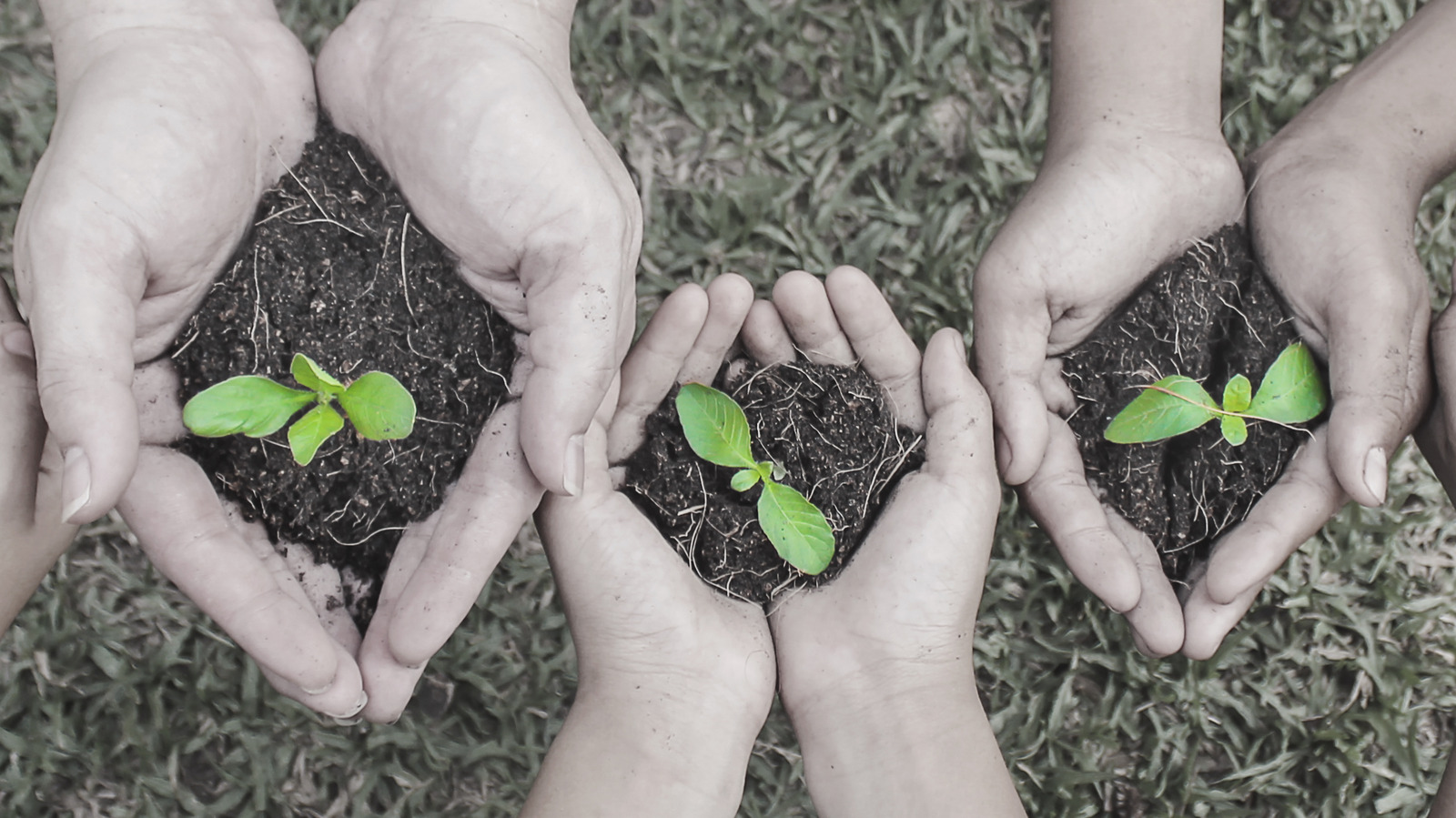 New Study Examines Which Foods Damage Our Environment The Most