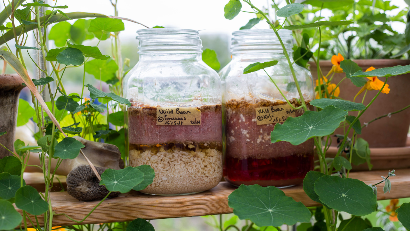 Noma's Nordic Food Manifesto Completely Revolutionized The Region's ...