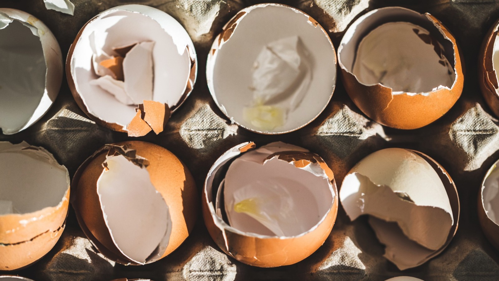 Putting Eggshells Back In The Carton Is A Disaster Waiting To Happen