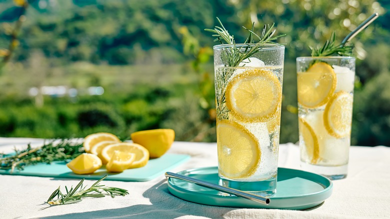 Seltzer Vs Sparkling Water: What's The Difference Between Them?