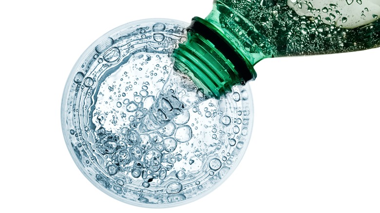 Seltzer Vs Sparkling Water: What's The Difference Between Them?