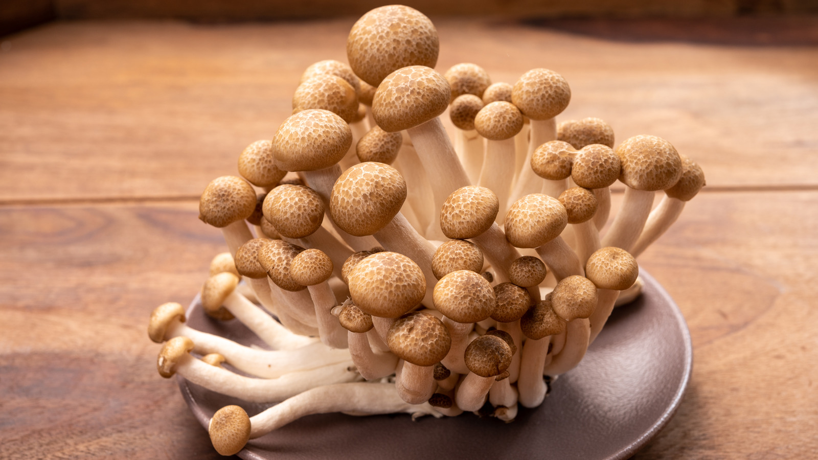 The Asian Mushrooms That'll Bring You The Perfect Amount Of Umami