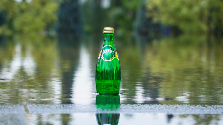 The Complete List Of Sparkling Water Brands, Ranked