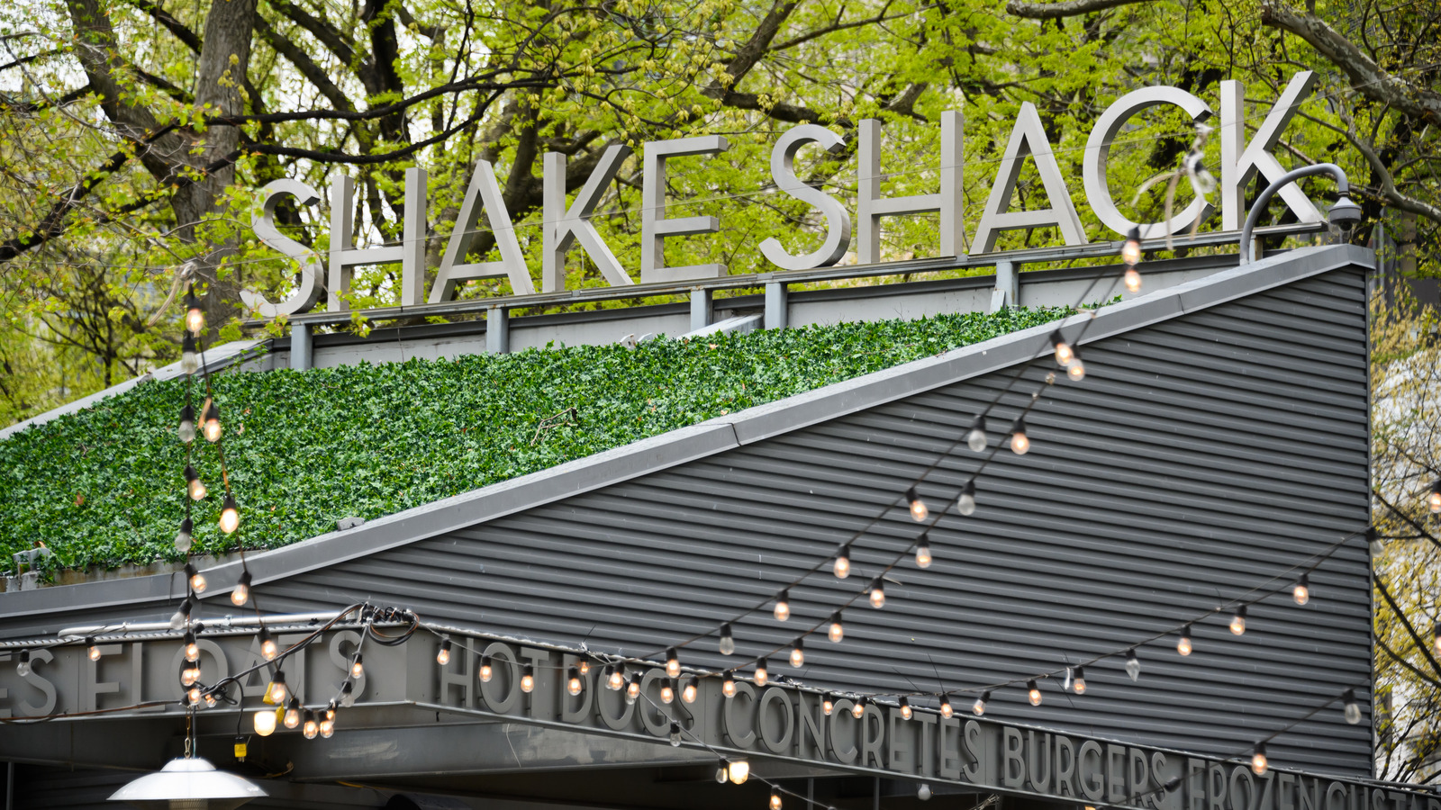 The Connection Between Grease And Shake Shack