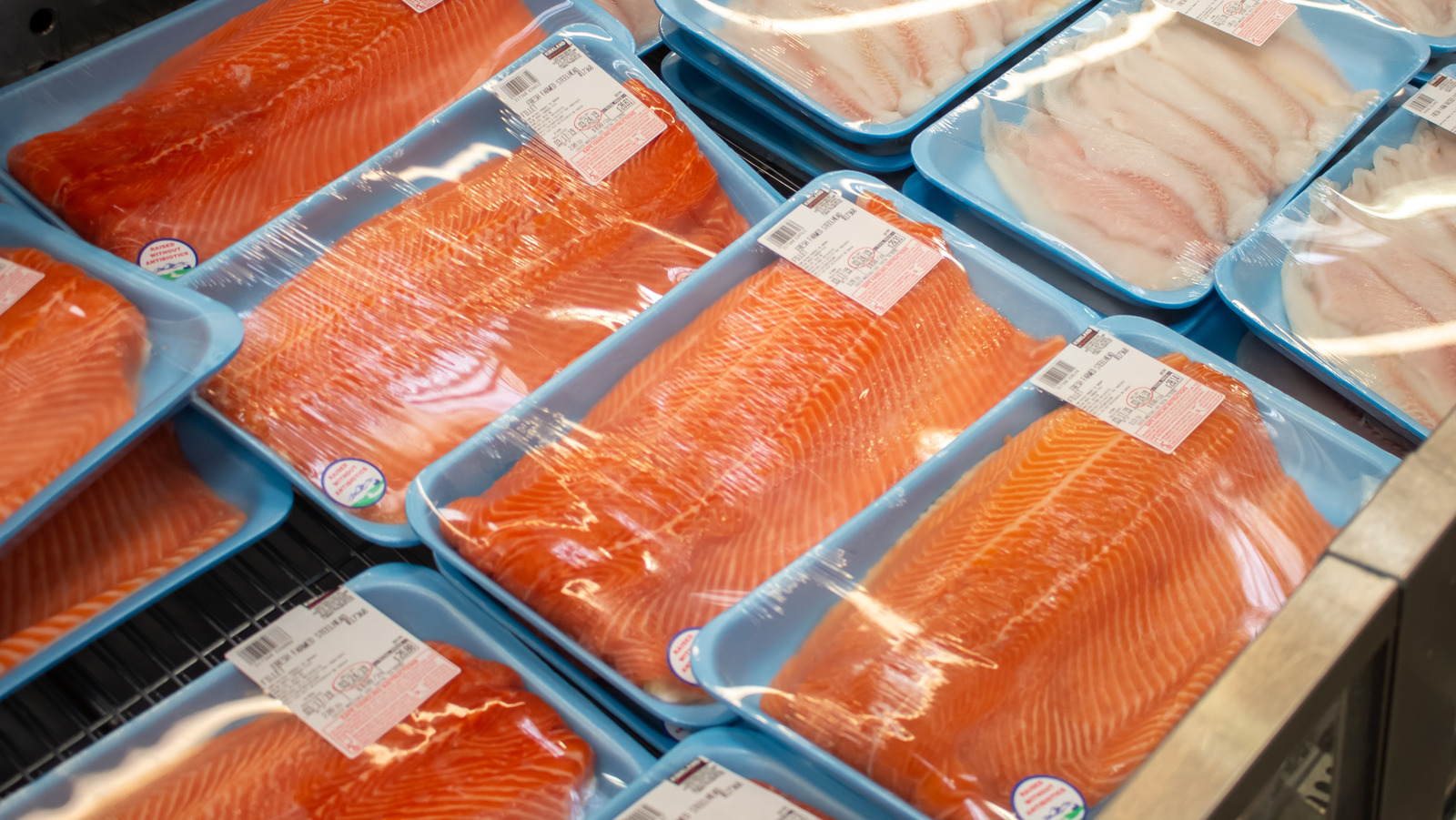 The Endangered Fish That Costco Refuses To Sell 57 OFF