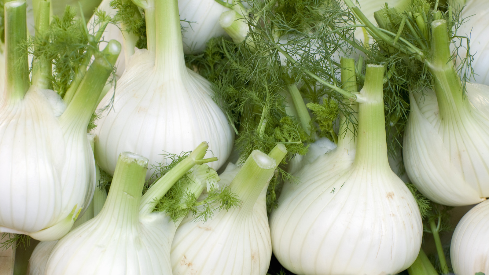 Save Your Fennel Fronds For A Whole New World Of Flavor