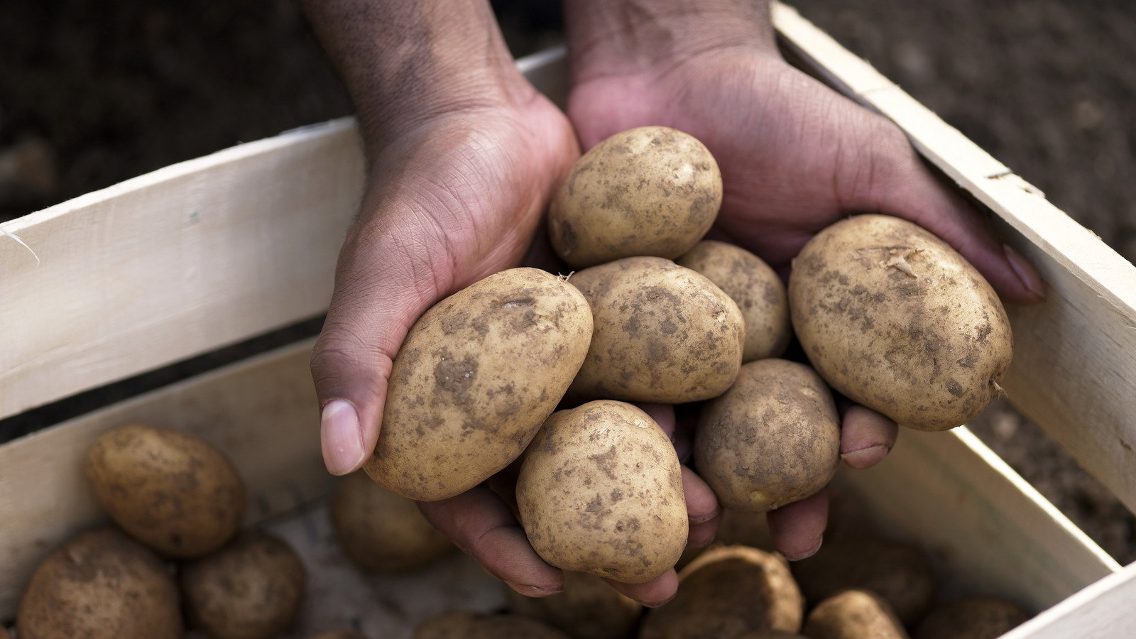 The Majority Of Of The World's Potatoes Come From This Country