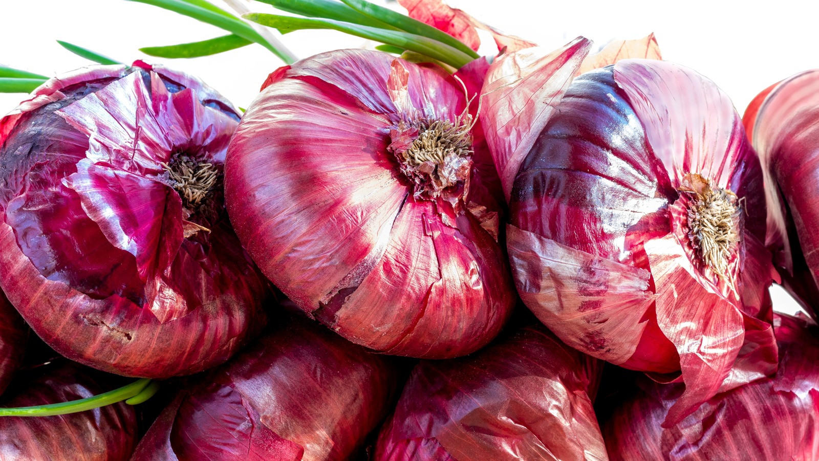The Most Eccentric Way To Store Onions Just Might Be The Best