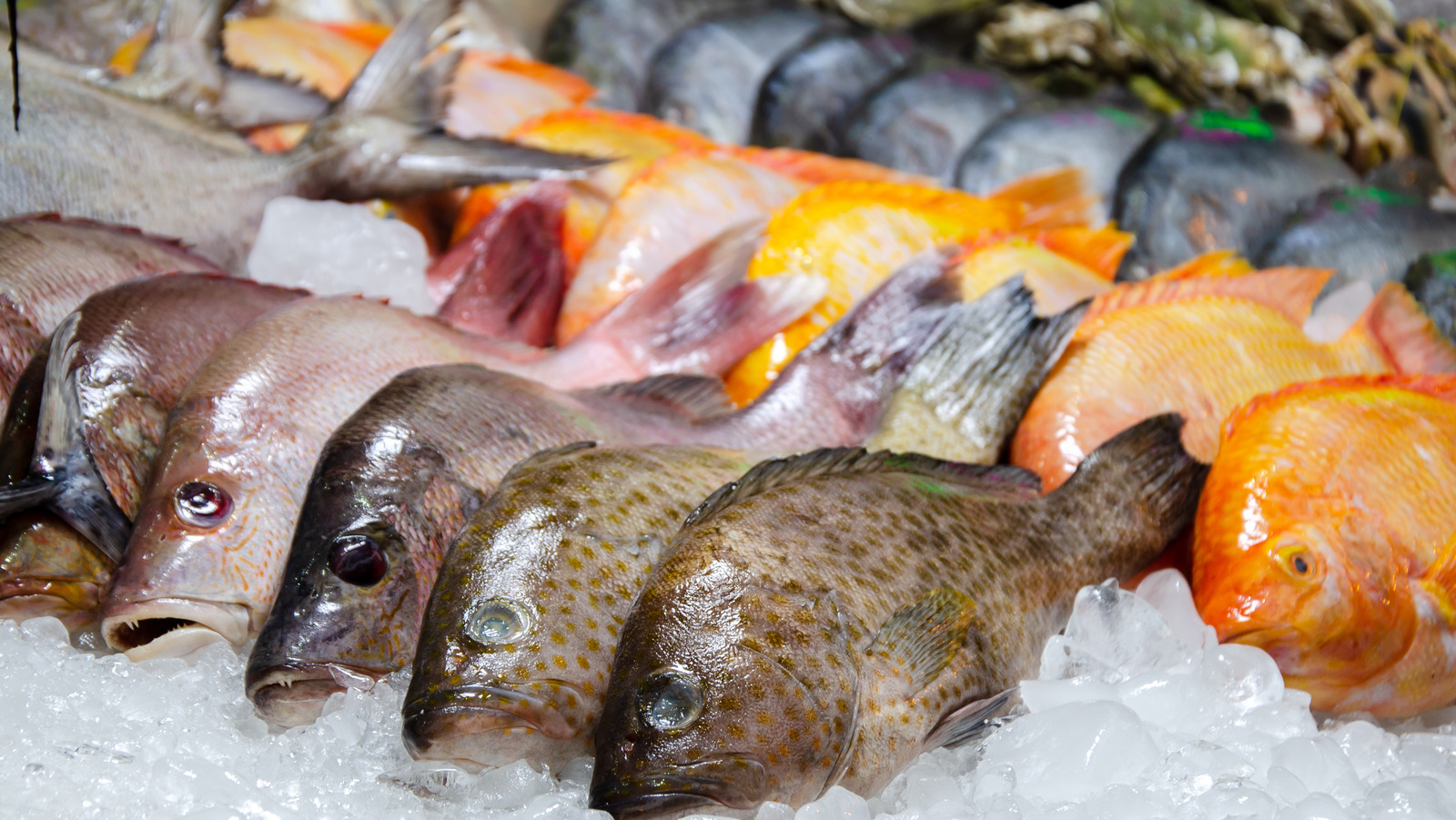 The Perfect Fish To Experiment With If You're A Kitchen Rookie