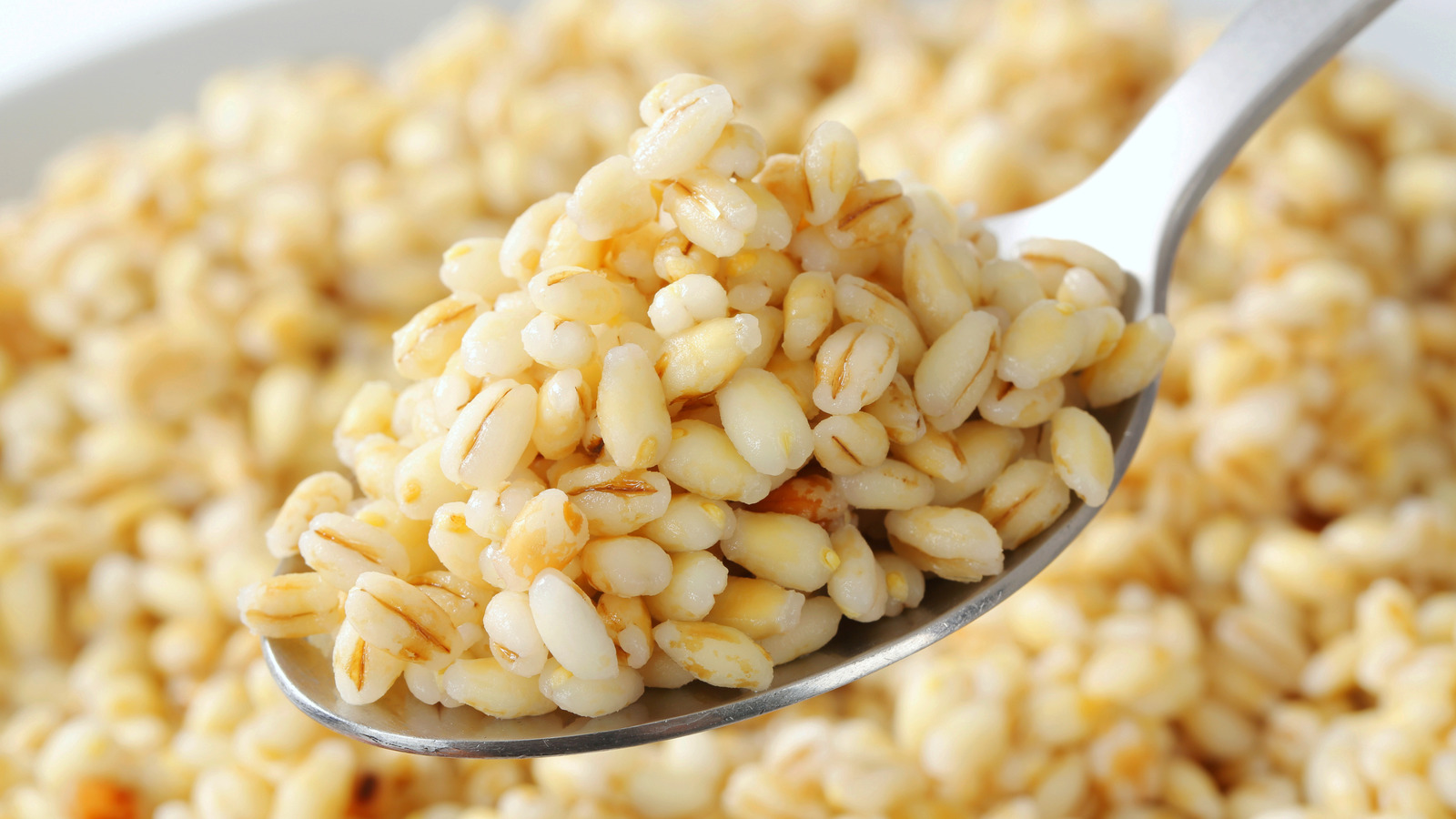 The Proper Way To Cook Tender, Delicious Barley