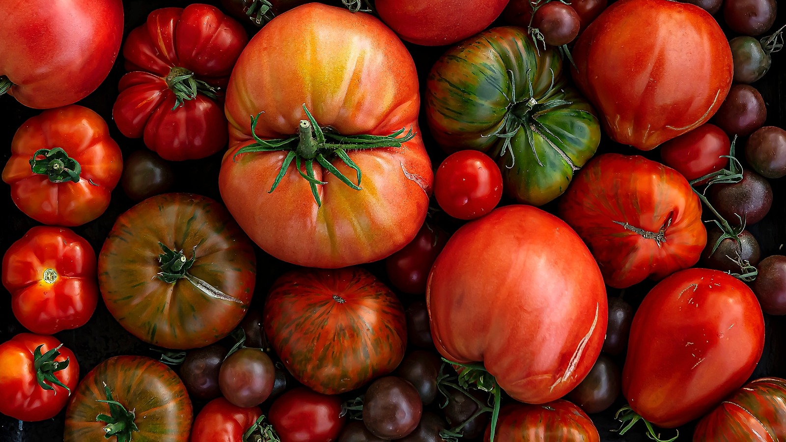 The Science Of Why Salting Tomatoes Is So Important