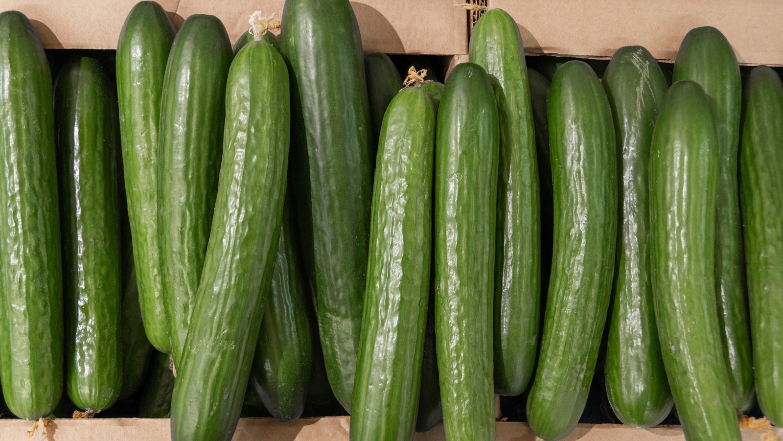 The Simple Rule For Choosing The Best Cucumbers At The Grocery Store