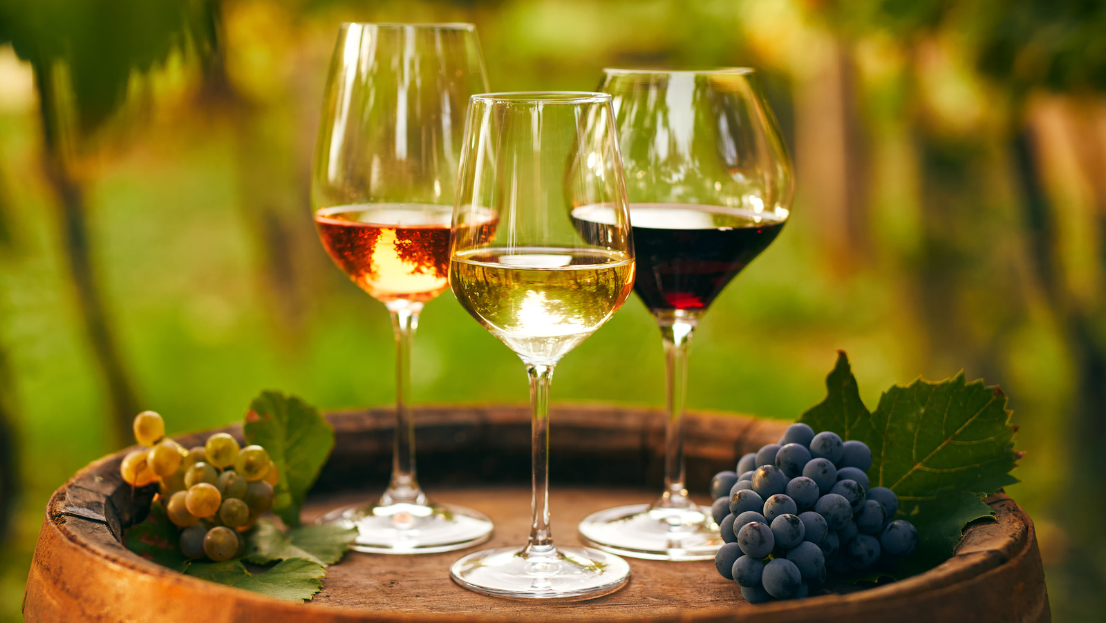 The Steam Technique For Spotless Wine Glasses In A Flash