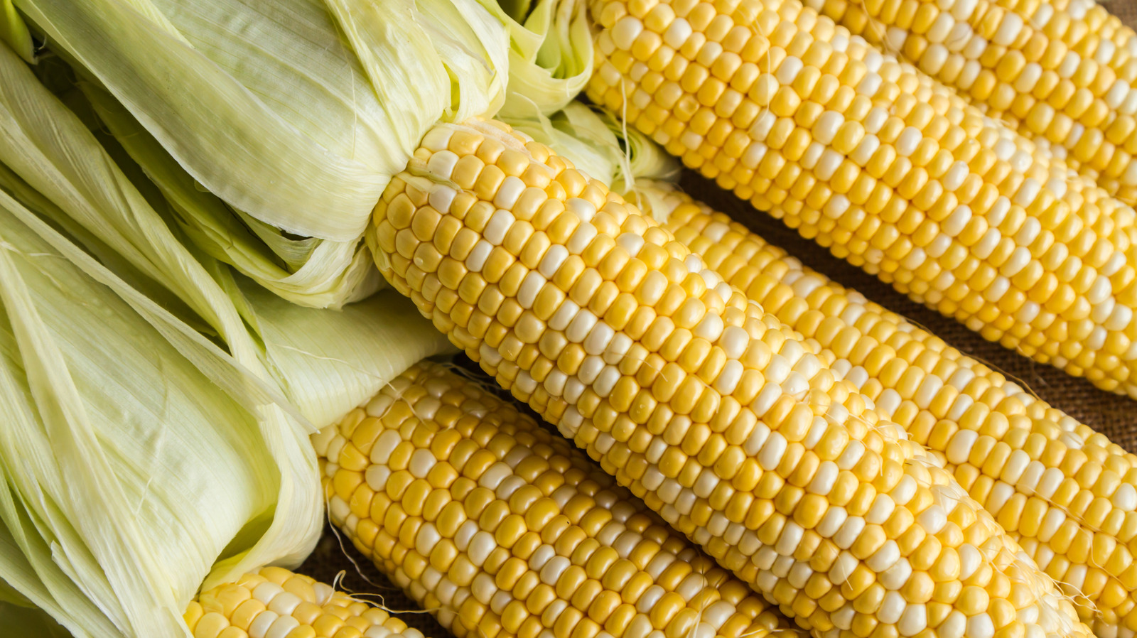 The Sweet Variety Of Corn That Can Only Be Grown In Colorado
