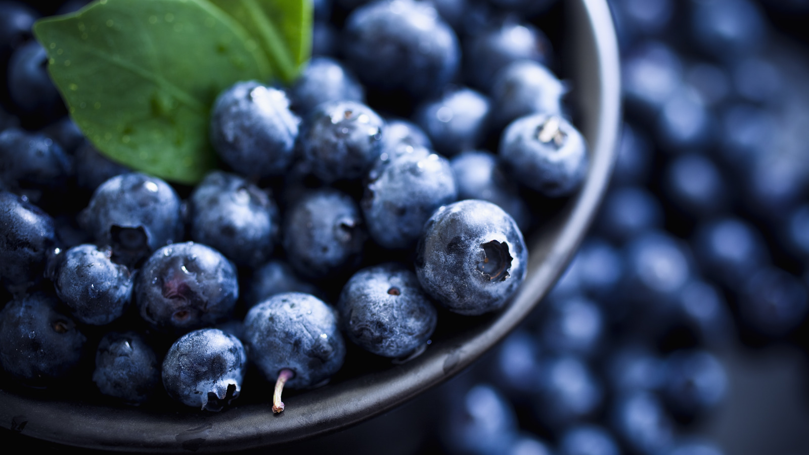 The Ultimate Guide To Blueberries