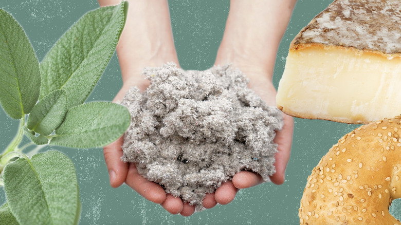 The Ultimate Guide To Cellulose And How It's Used In Our Food