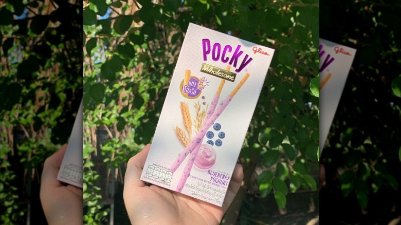 The Ultimate Guide To Pocky Flavors