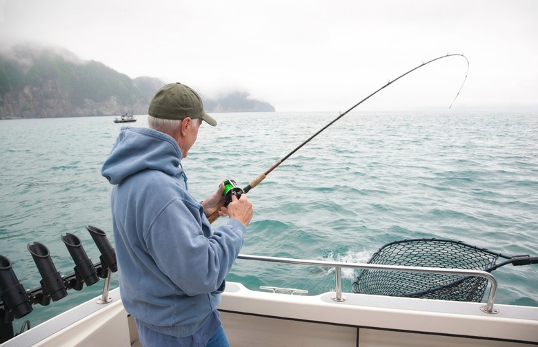 These Sustainable, Organic Fish Are Better for You — and the Planet ...