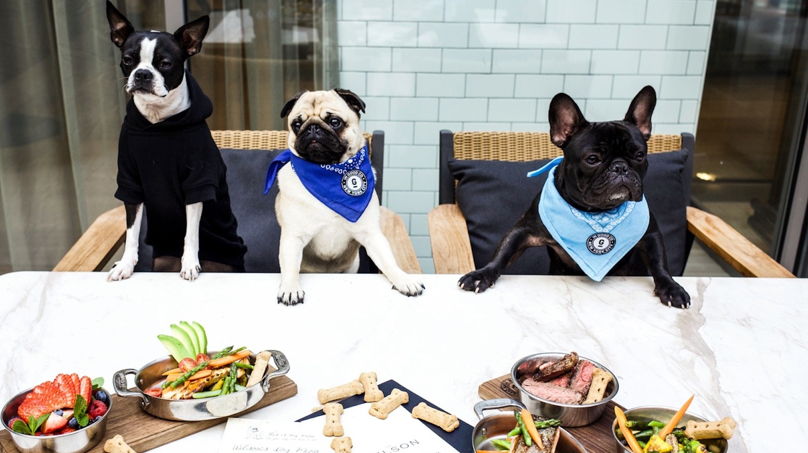This Thanksgiving (Safely) Invite Your Dog To Dine With You