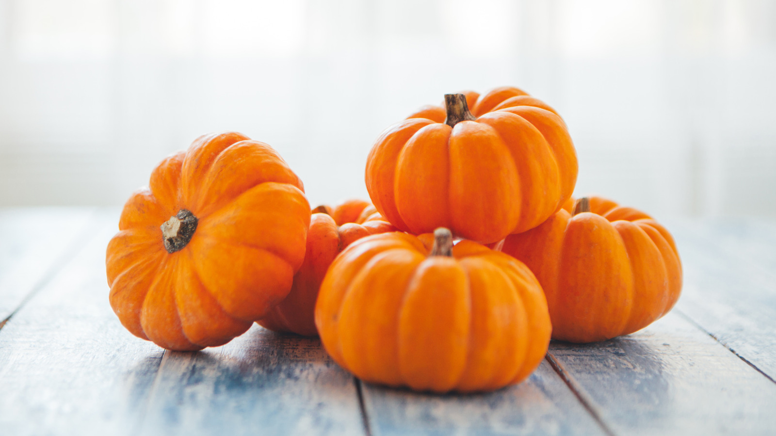 TikTok's New Starbucks Trend Gives Pumpkins A New Purpose