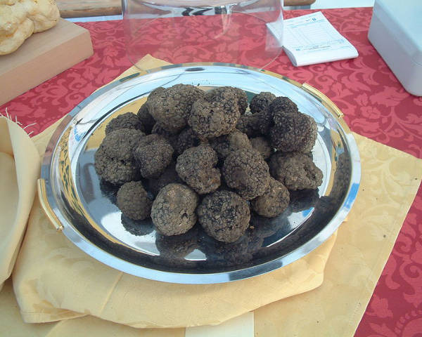 Truffle Fraud Angers French Growers