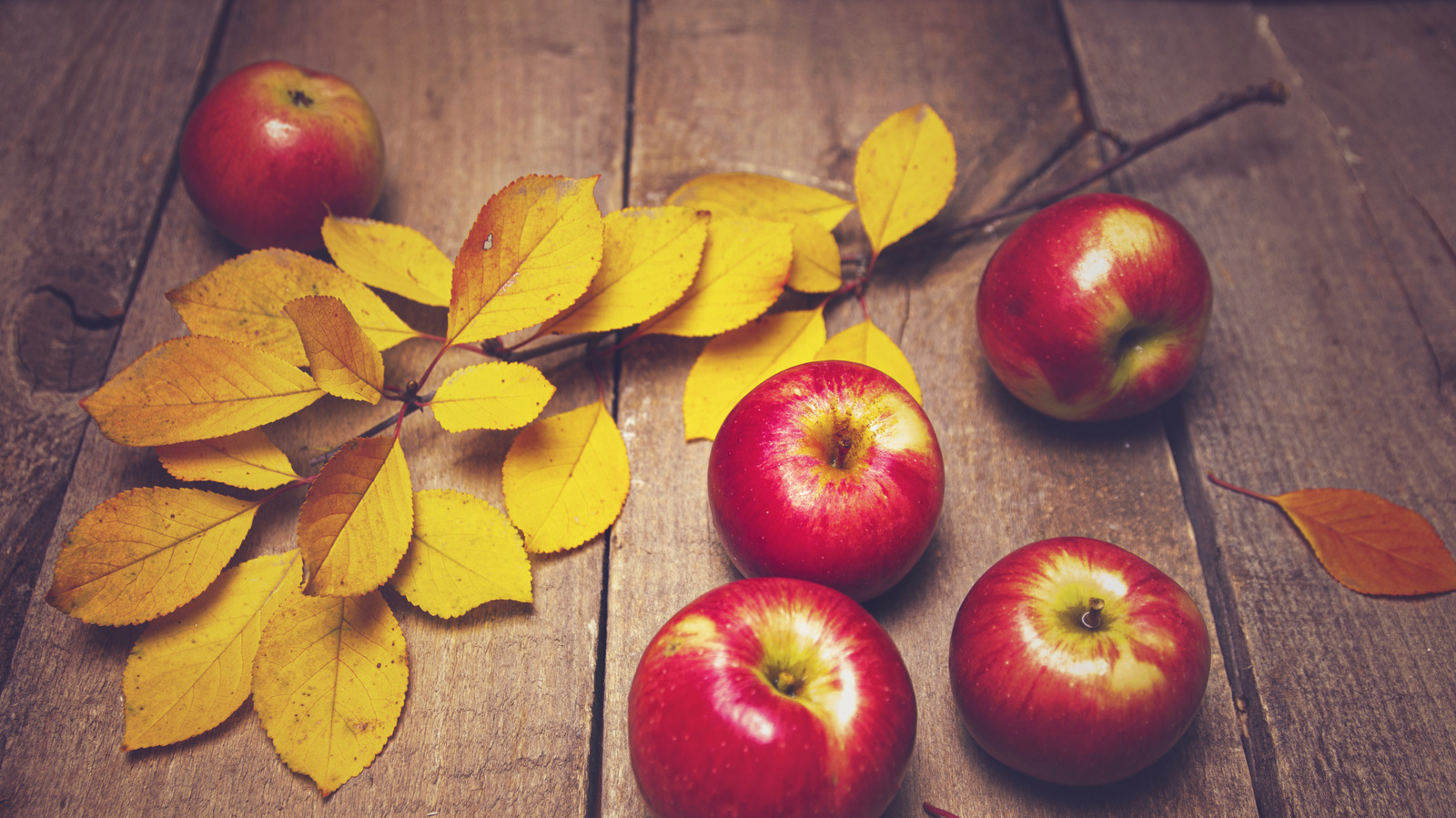 Turn Apples Into The Cutest Fall Kitchen Decor In 3 Simple Steps