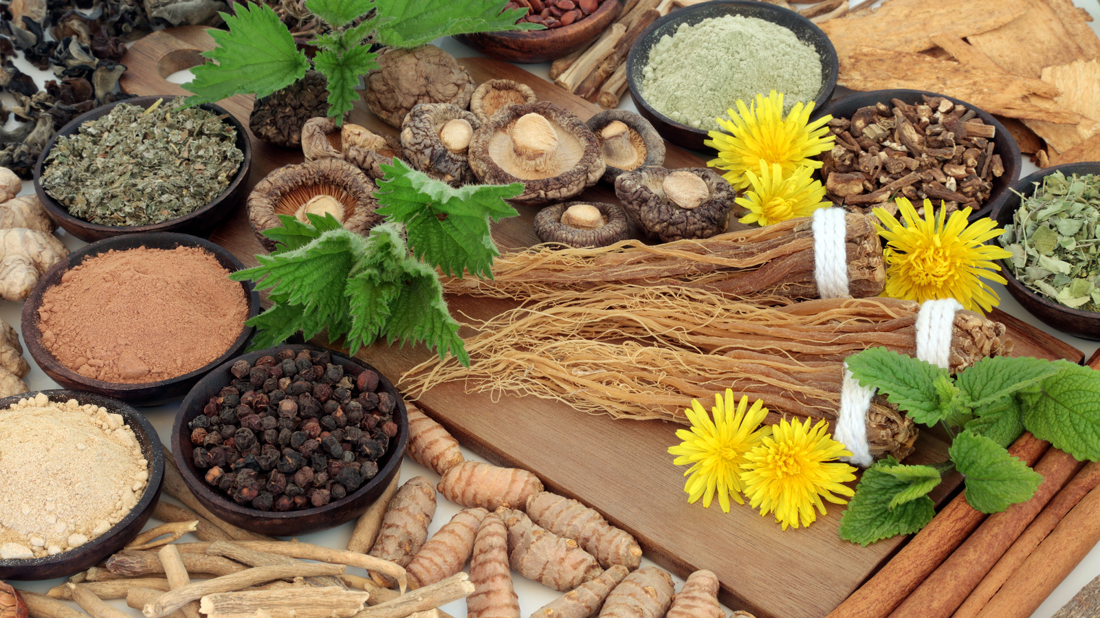 What Classifies 'Adaptogen' Ingredients, And Are They Really Worth It?