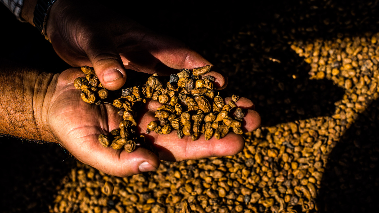 What Exactly Are Tiger Nuts And What Do They Taste Like?