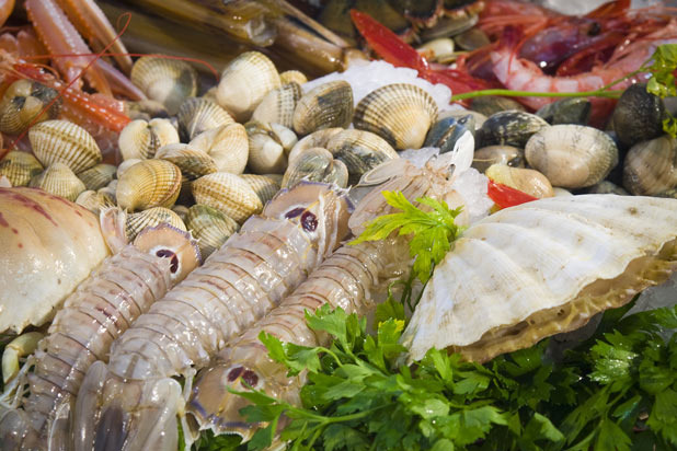 What Fish Should You Be Eating Now (Slideshow)