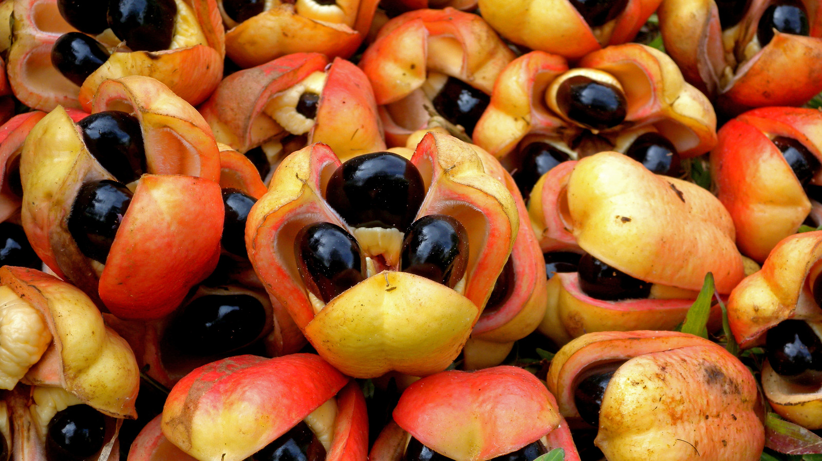 What Is Ackee?